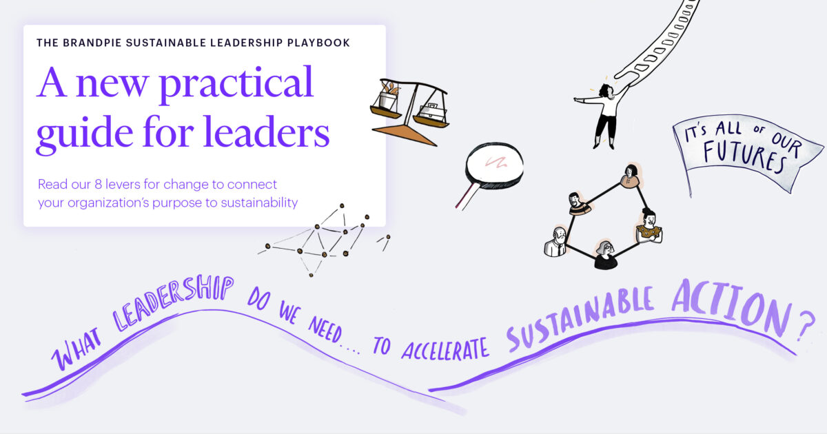 Levers for change: accelerating sustainable action | Brandpie